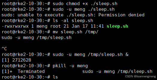 如何在Linux中以特定用户运行程序_linux以指定用户执行脚本-CSDN博客