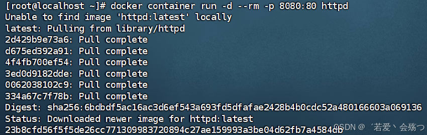 【原创】从0开始云技术+docker+搭建云服务器_基于docker的云计算平台搭建-CSDN博客
