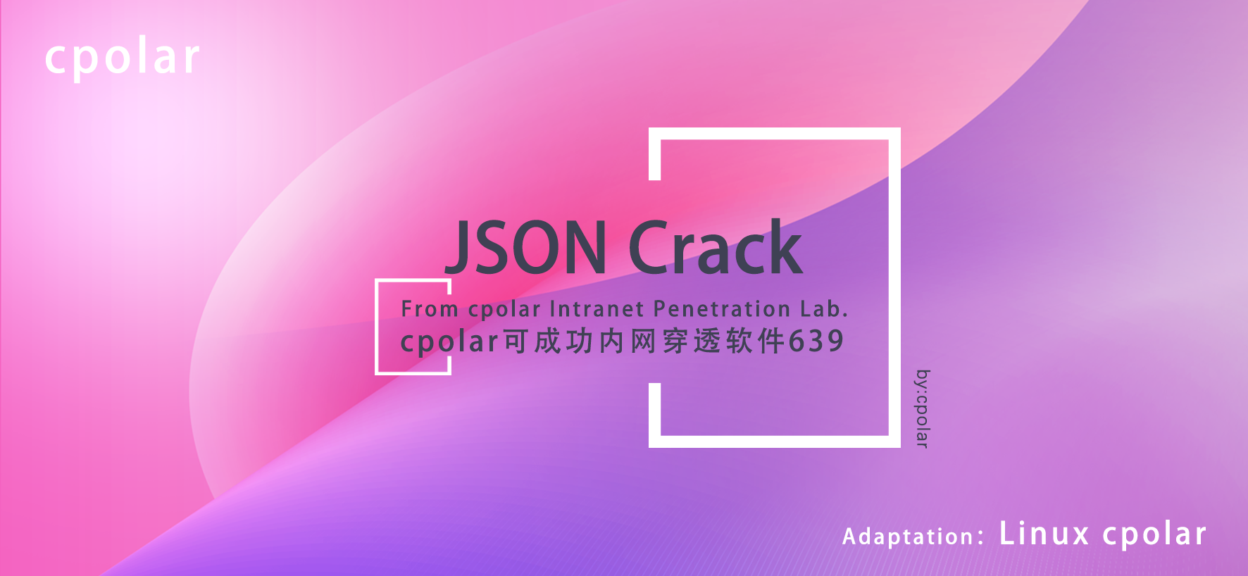 JSON数据看得头大?JSON Crack+cpolar 让数据处理变轻松-CSDN博客