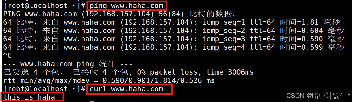 Linux-nfs、dns、web_linux中dns和web服务-CSDN博客