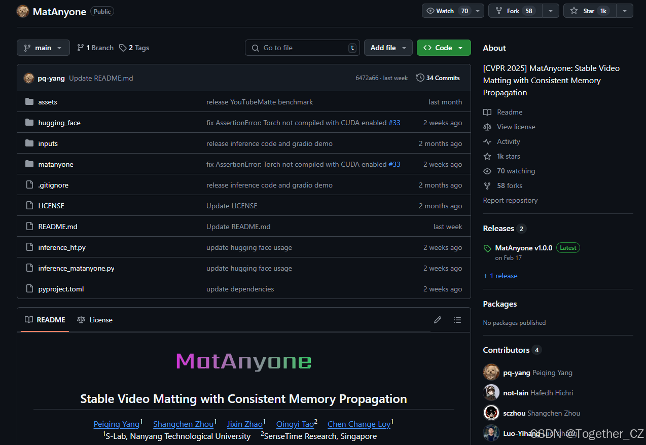 MatAnyone: Stable Video Matting with Consistent Memory Propagation——具有连贯记忆传播的稳定视频抠图 ...