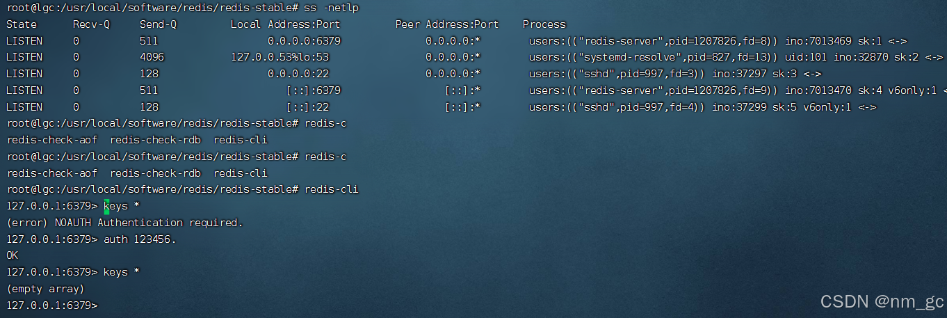 Redis7.X 安装教程（单机）_redis7.x下载-CSDN博客