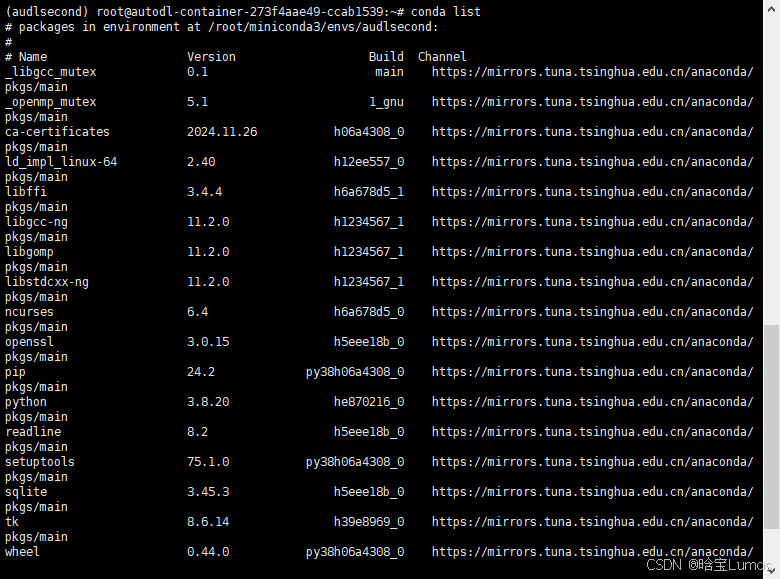 autodl租用gpu并使用远程xshell连接pycharm-CSDN博客