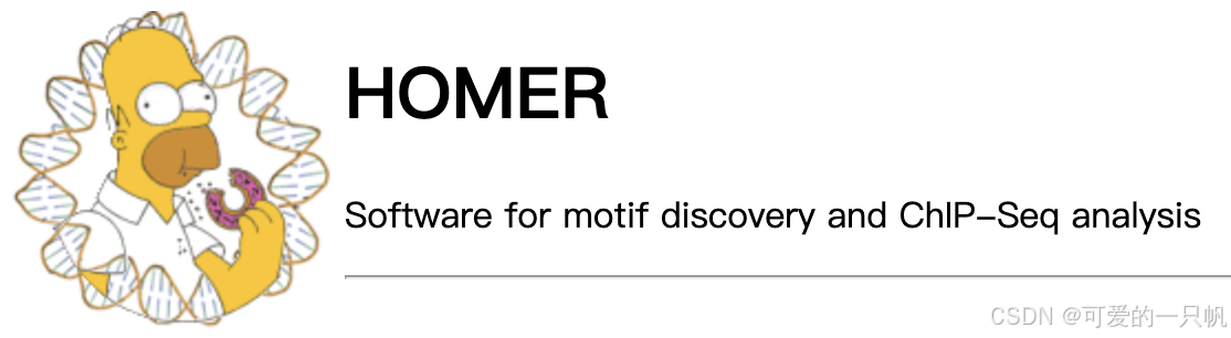 Homer·预测给定基因的转录因子_findmotifs.pl-CSDN博客