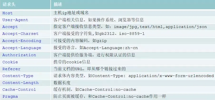 【网络编程】Http概述与C++简单WebServer_c++ web访问-CSDN博客