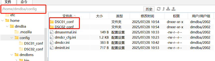 达梦数据库DMDSC集群部署全流程（VMware环境）_dmdsc 搭建教程-CSDN博客