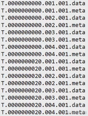 MITgcm模拟实验教程——数值转盘实验-CSDN博客