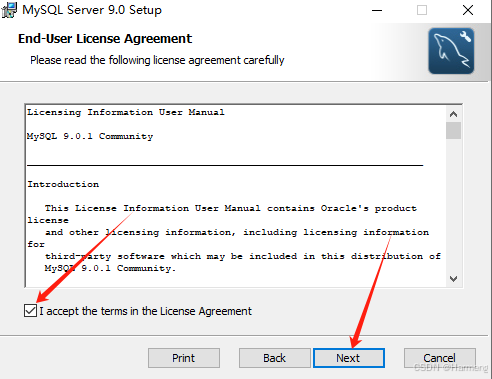 MySQL在Windows中安装与配置（9.0版详细教程）_mysql9.0安装教程详细步骤-CSDN博客