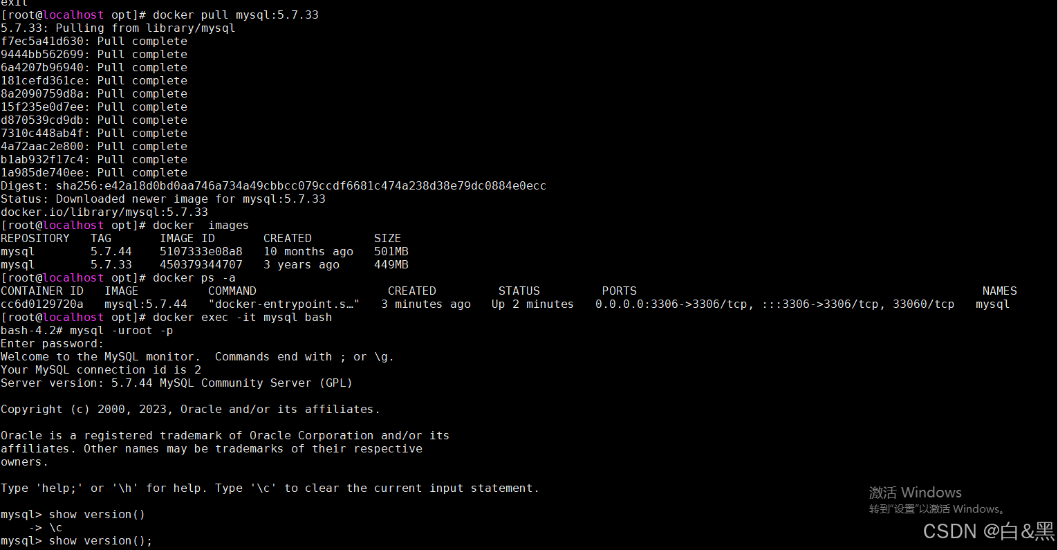 docker安装mysql_mysql docker pull github-CSDN博客