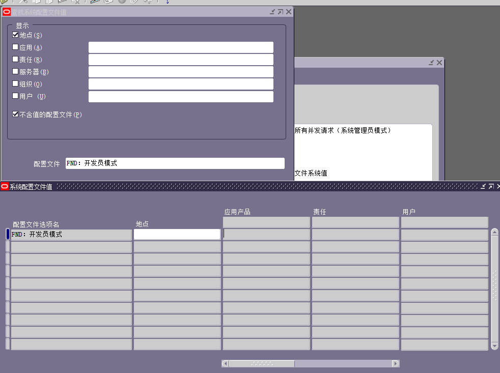 Oracle EBS Form开发——系统/个人配置文件-CSDN博客