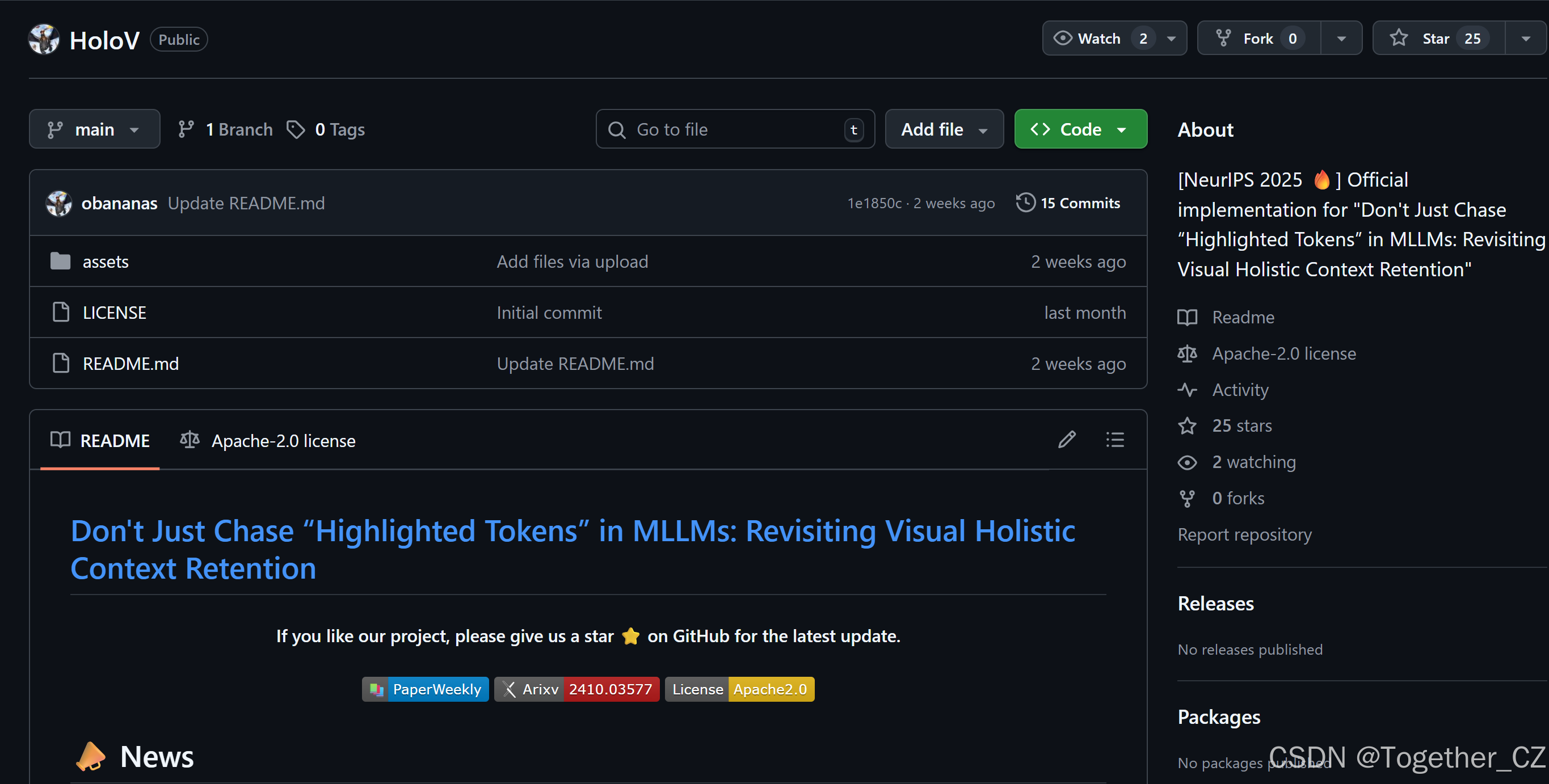 HoloV：Don’t Just Chase “Highlighted Tokens” in MLLMs:Revisiting Visual Holistic Context ...