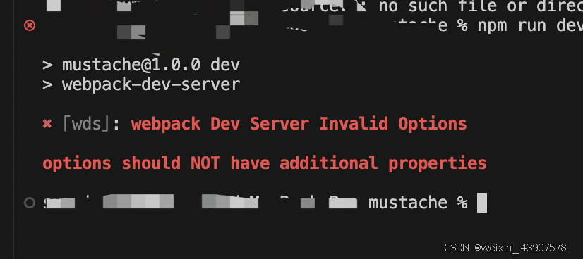 webpack Dev Server Invalid Options options should NOT have additional proper-CSDN博客