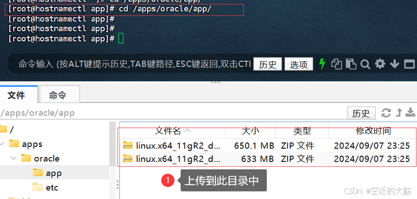 在Linux centos7 下安装Oracle_centos7安装oracle-CSDN博客