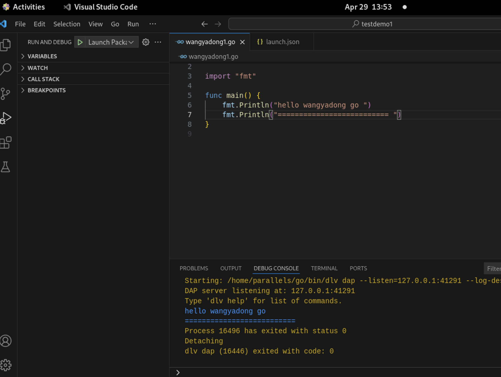 centos 9 使用vscode 配置go 环境以及新建go项目 _vscode go-CSDN博客