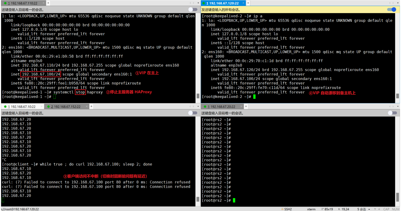 HAProxy + Keepalived 高可用集群_haproxy keepalived-CSDN博客