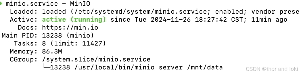 如何在CentOS中安装MinIO_ctyunos系统 安装minio-CSDN博客
