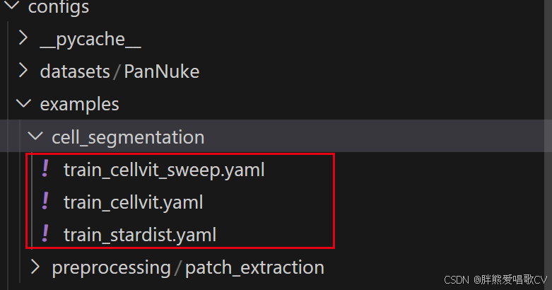 2024-9-27 CellVIT实验复现-CSDN博客