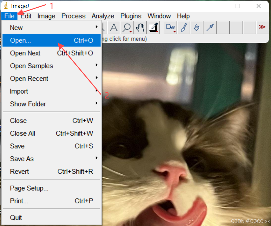 ImageJ计算叶面积_imagej测量面积-CSDN博客