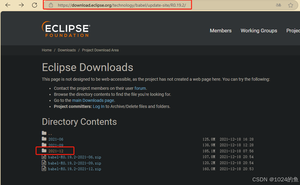 CubeIDE汉化-CSDN博客