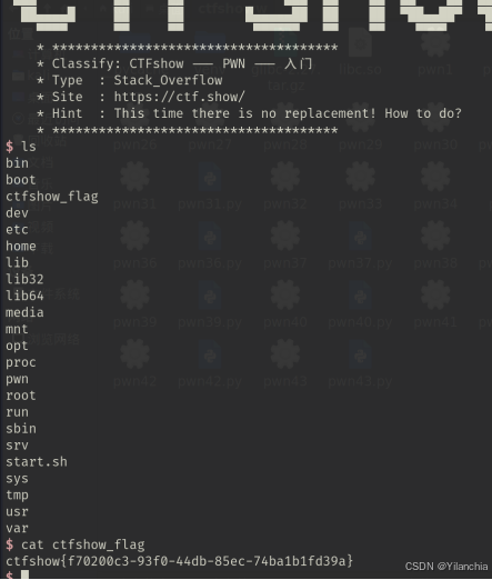 ctfshow做题笔记—栈溢出—pwn41~pwn44(创作纪念日更新)_pwn41 ctfshow-CSDN博客