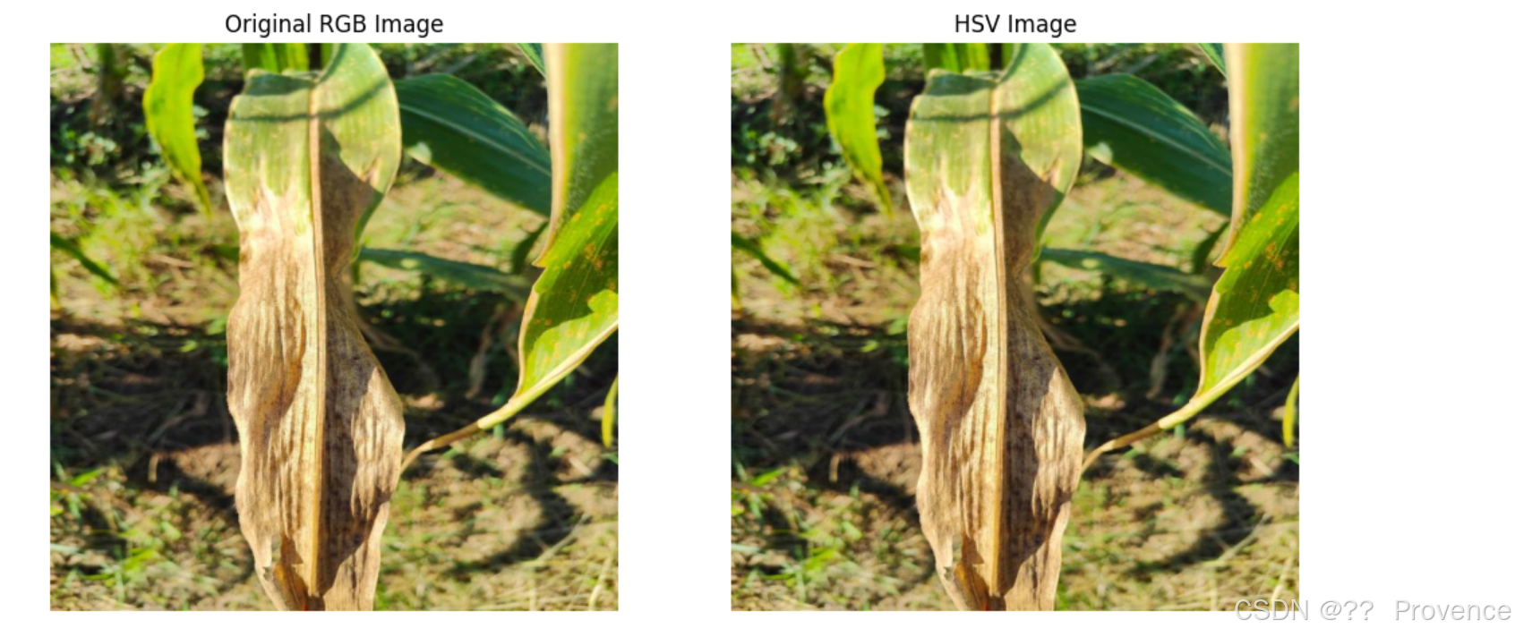 数据增强----HSV_hsv图像增强-CSDN博客