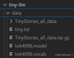 【tiny-universe】实现一个llm并使用tiny-stories数据集训练_tinystories数据集-CSDN博客