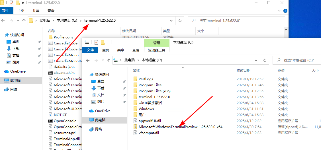 Windows 10 ltsc 以上系统安装starship_windows-terminal-v1.25.622.0-CSDN博客