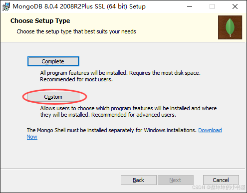 MongoDB & MongoDB Compass(可视化管理工具)的下载与安装（简洁版），附带建表和四个基本的增删改查语句_mongodb compass download (gui)-CSDN博客
