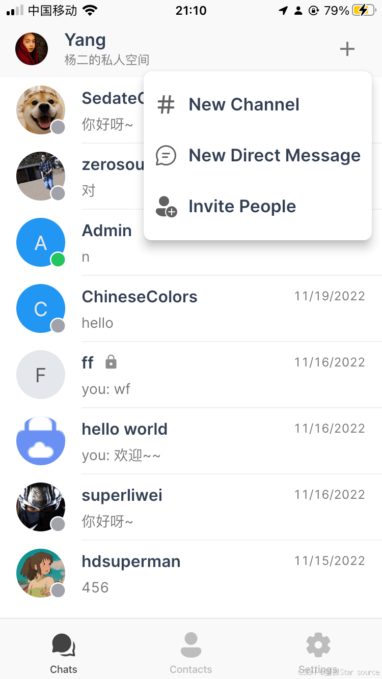 VoceChat，一款小而美的聊天工具-CSDN博客