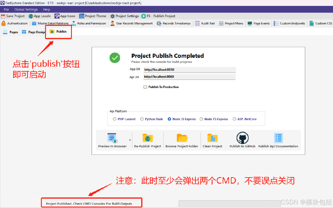 RadSystems入门-CSDN博客