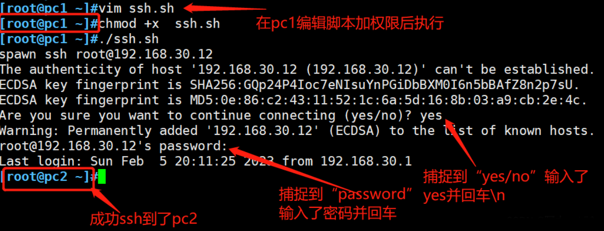 Linux系统Shell脚本之expect脚本免交互_linux shell expect-CSDN博客