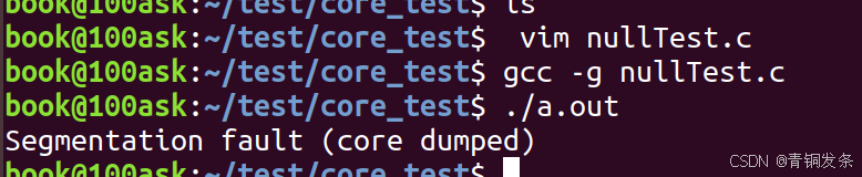 【Linux】core核心转储文件_core文件-CSDN博客