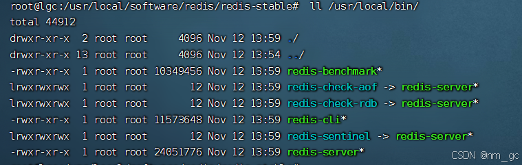Redis7.X 安装教程（单机）_redis7.x下载-CSDN博客