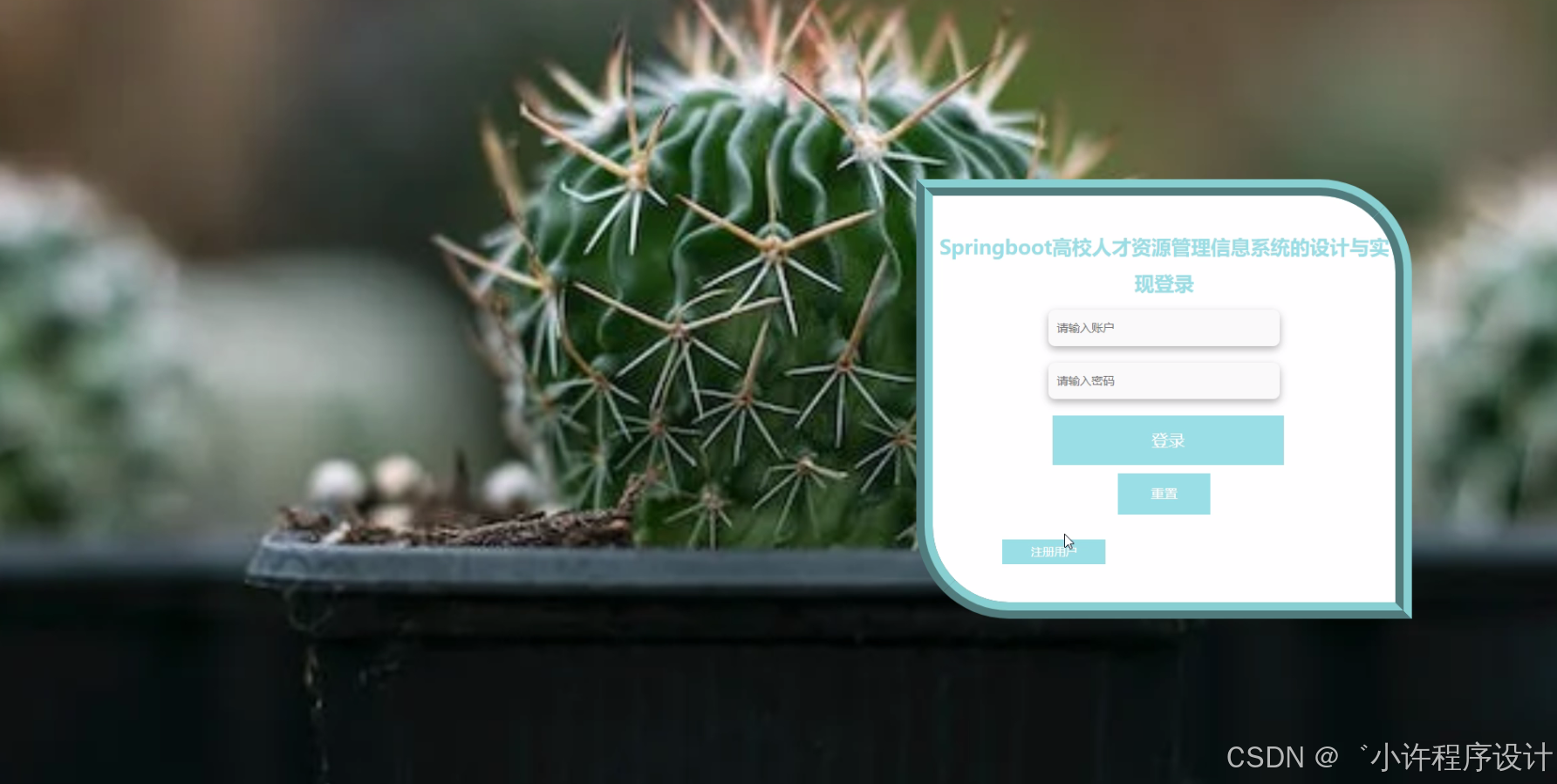 Python毕设高校人才资源管理信息系统的设计与实现程序论文 Csdn博客
