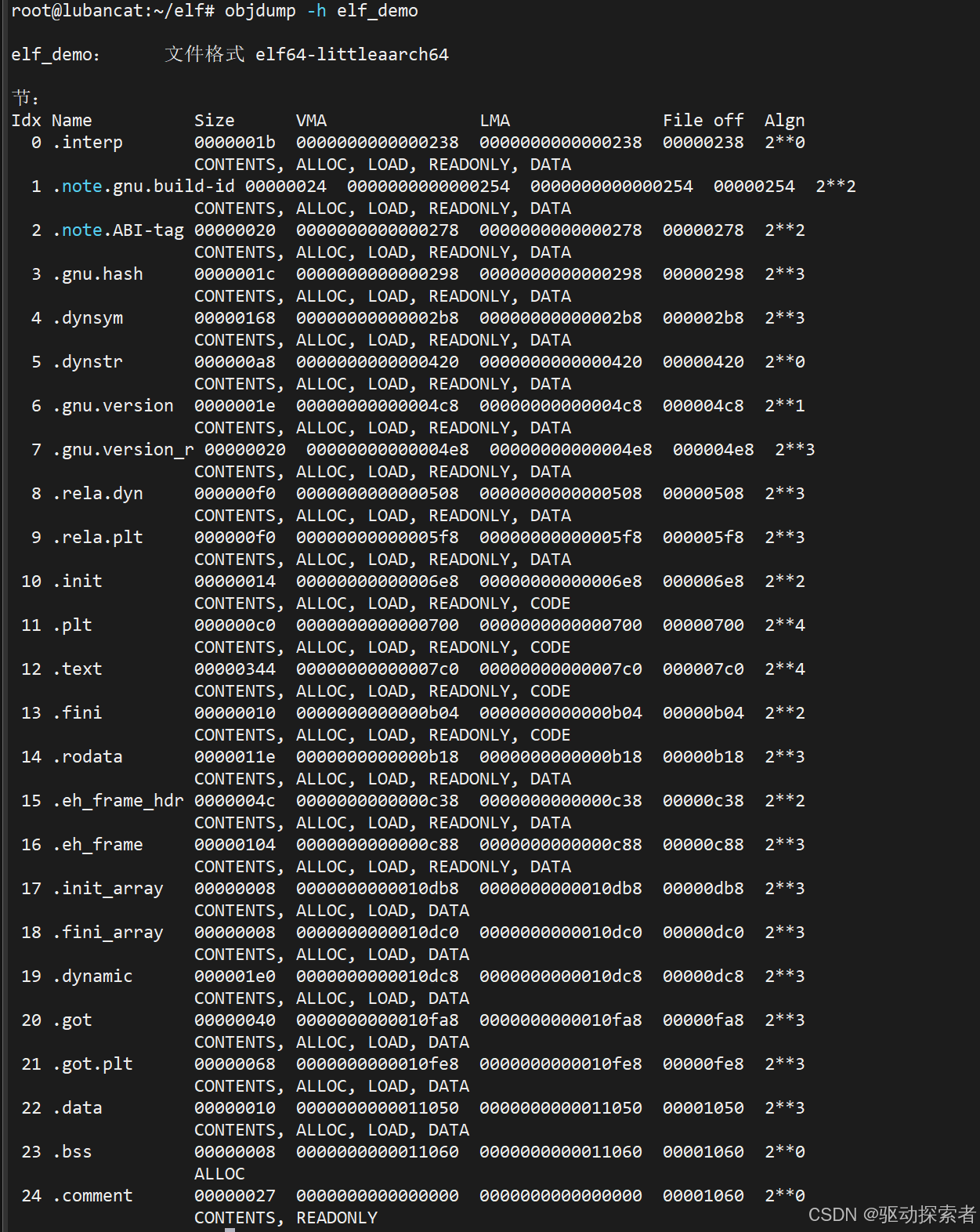 ELF 文件入门_elf文件 .data-CSDN博客