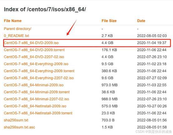 实验一：Linux虚拟网络环境和Wireshark抓包软件_vmware linux wireshark的使用实验-CSDN博客