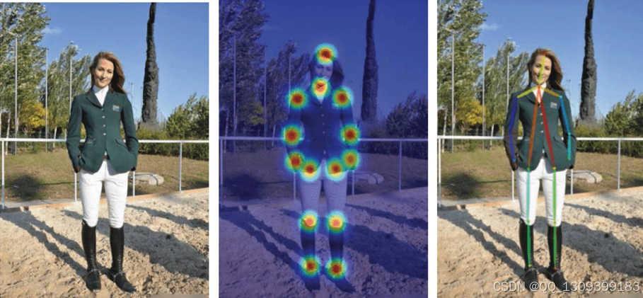 mmpose动物姿态识别/3d人体姿态识别/3d手掌关键点识别/人体热力图_mmpose 3d 生成dance数据-CSDN博客