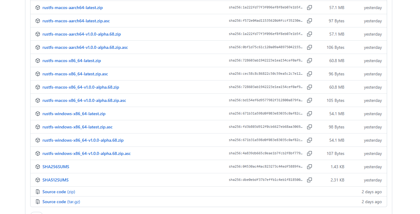 RustFS Windows 版本安装部署相关操作（不用docker）_rustfs安装-CSDN博客