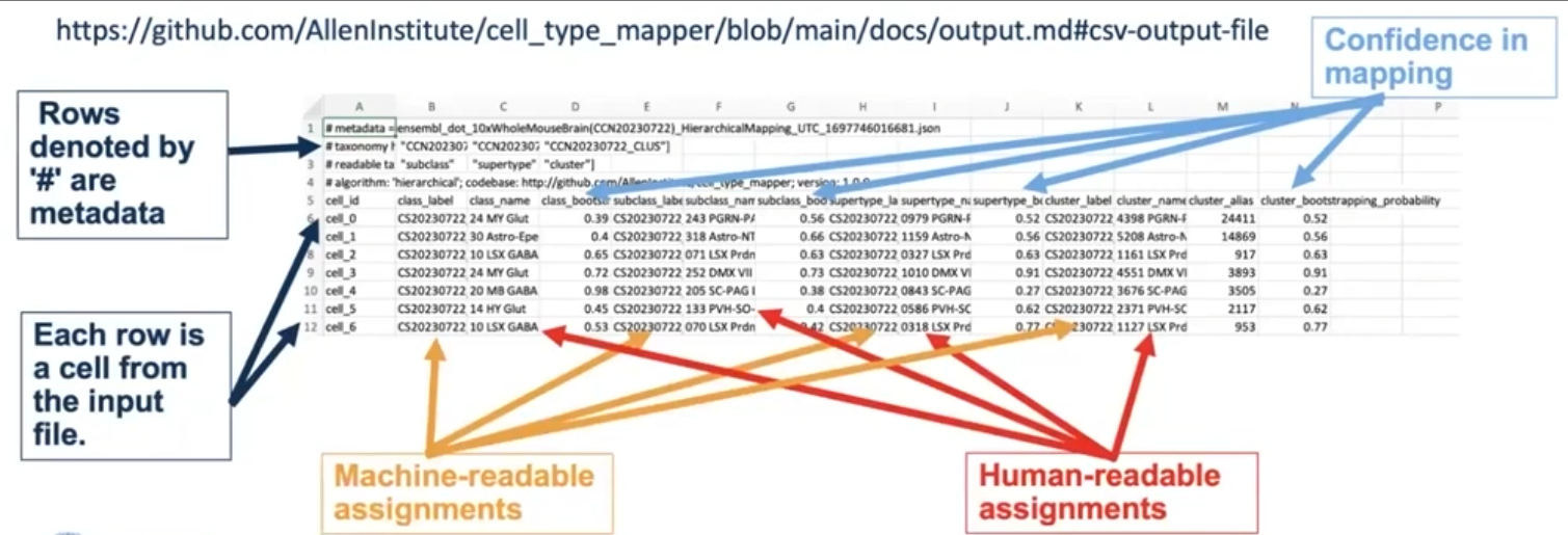单细胞标注新利器：MapMyCells 全流程使用笔记 + 原理详解（含层次映射机制）_hierarchical mapping-CSDN博客