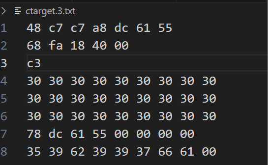tju代码攻击实验_代码注入攻击实验-CSDN博客