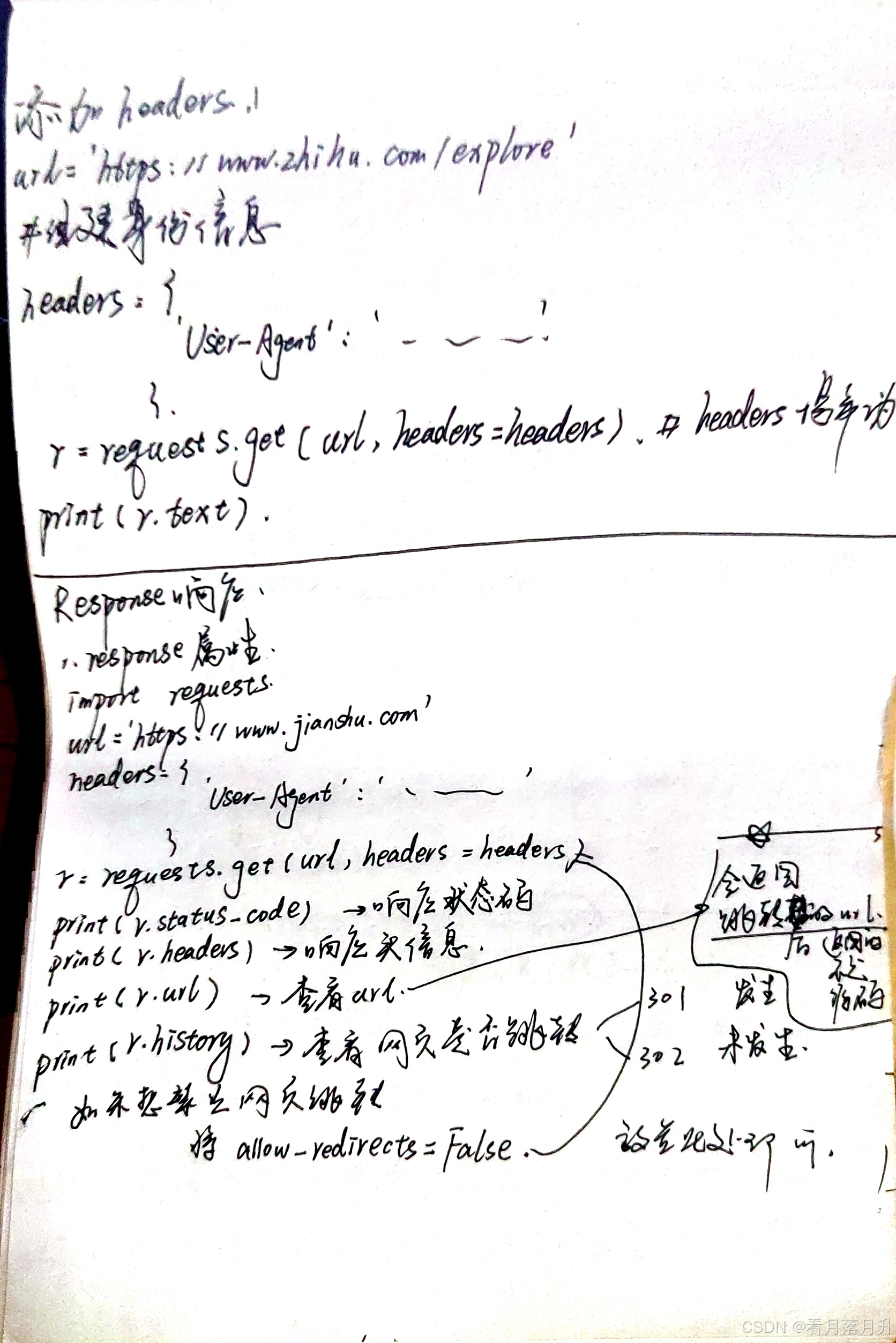 爬虫基础1_全片allpian现在叫什么-CSDN博客