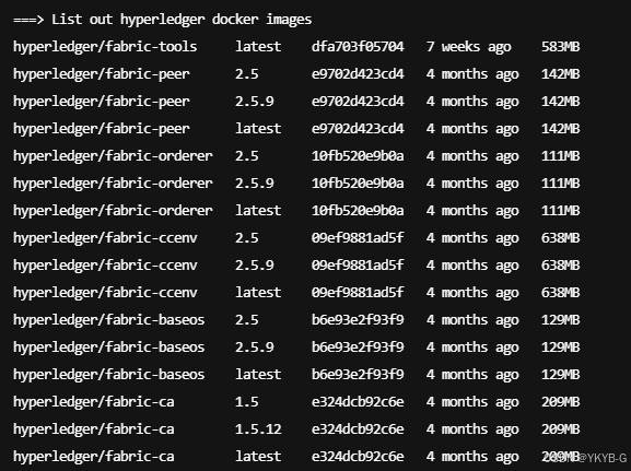 【Hyperledger Fabric2.3环境搭建】_hyperledger fabric 环境搭建-CSDN博客