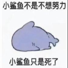 string类型使用_std::string 数组-CSDN博客