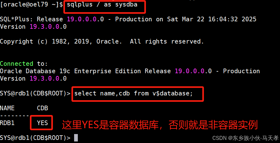 Linux Oracle19c删除容器数据库实例（cdb）oracle19c删除实例 Csdn博客