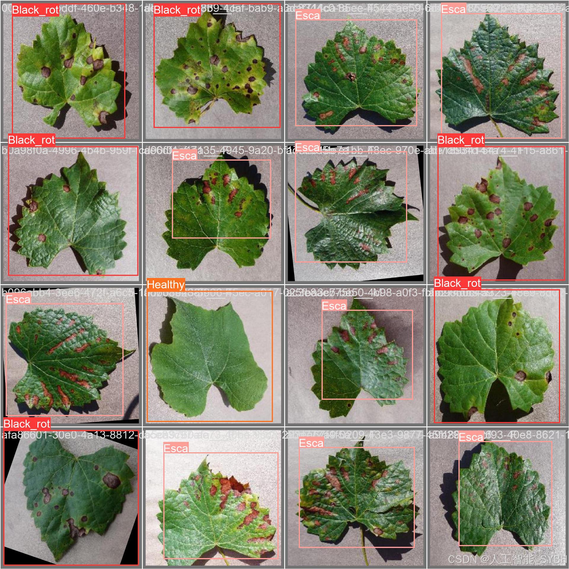 基于深度学习YOLOv10的葡萄叶片病害检测系统（YOLOv10+YOLO数据集+UI界面+Python项目源码+模型）_基于深度学习的葡萄叶部病害图像分类系统-CSDN博客