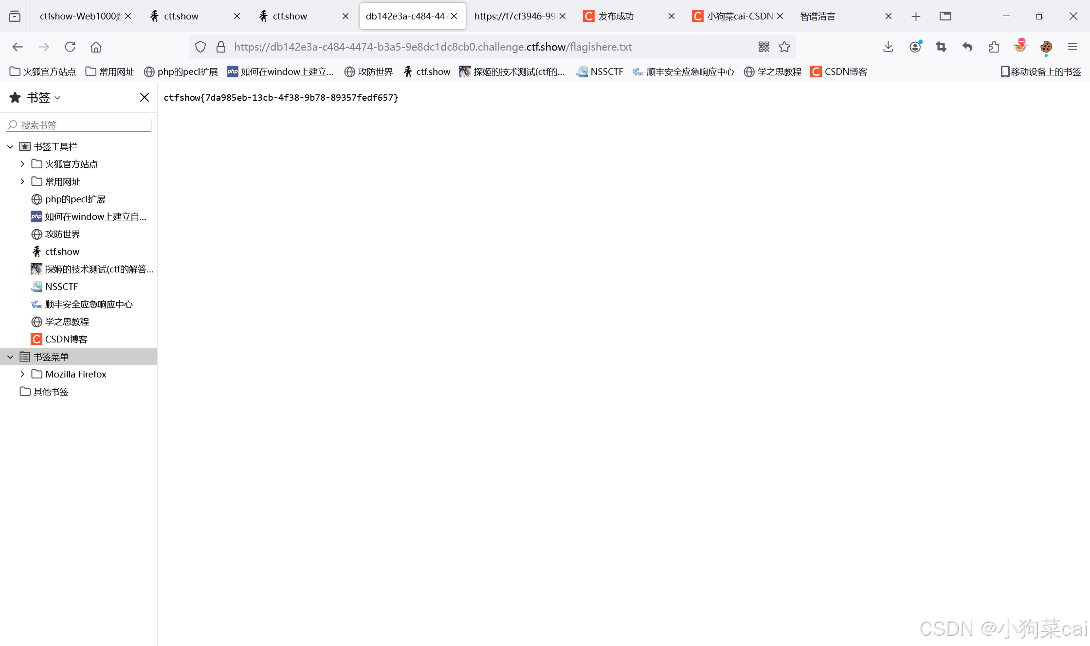 Ctfshow Web入门 信息搜集（4）ctfshow Web入门4 Csdn博客