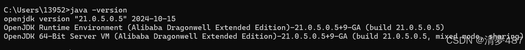 java环境安装教程，阿里的java，jdk，安装教程 Alibaba Dragonwell_阿里ajdk21.0.5-CSDN博客