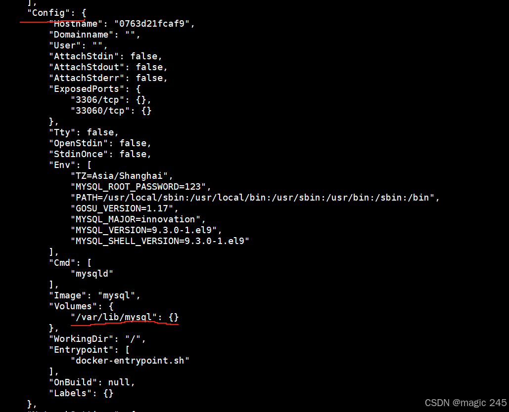 Docker——day2_linux查看docker运行中的容器并部署项目-CSDN博客