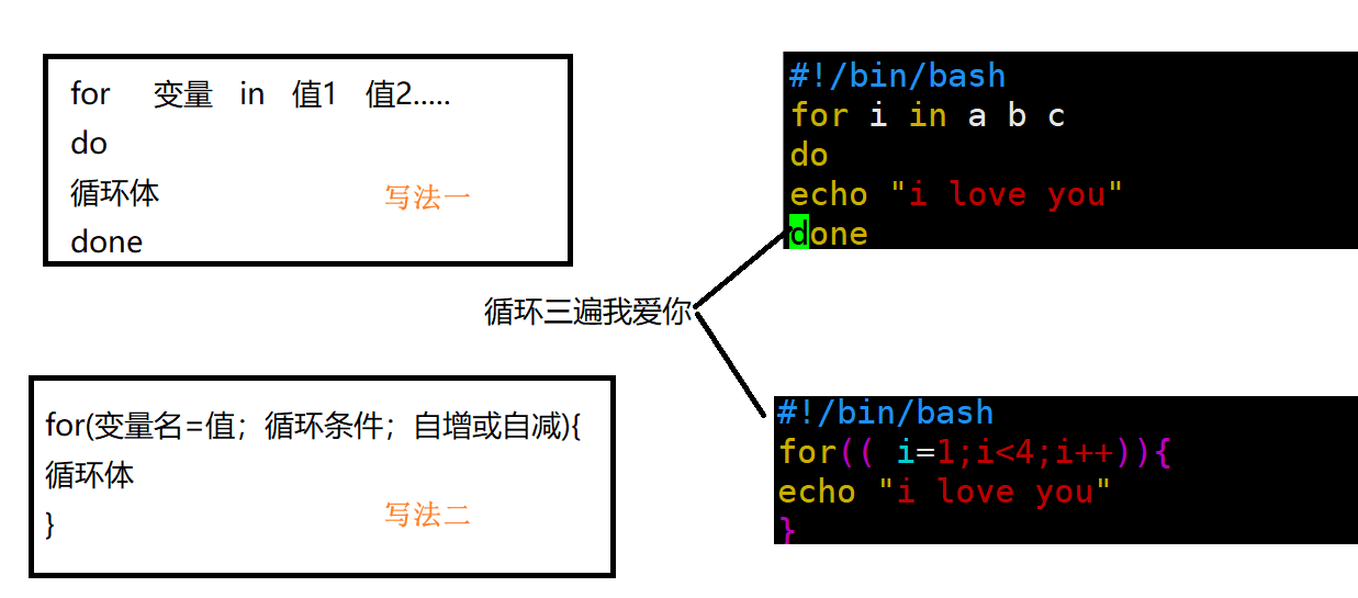 Linux-Day18.shell-day2语法-CSDN博客