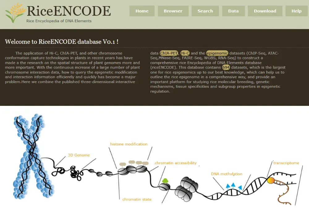 从ENCODE到植物pENCODE：表观图谱正当时，附数据库盘点-CSDN博客